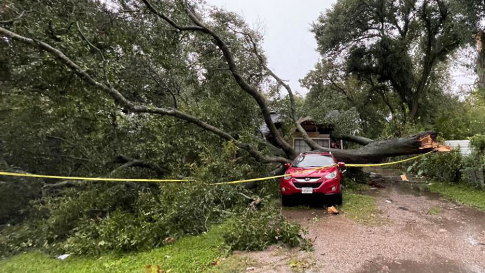 Houston weather: Tree damages home and SUV during strong storm in north ...