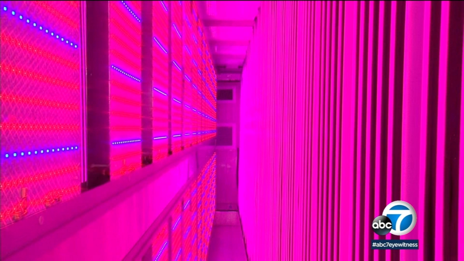 LA's first indoor pod farm is in the San Fernando Valley, providing ...