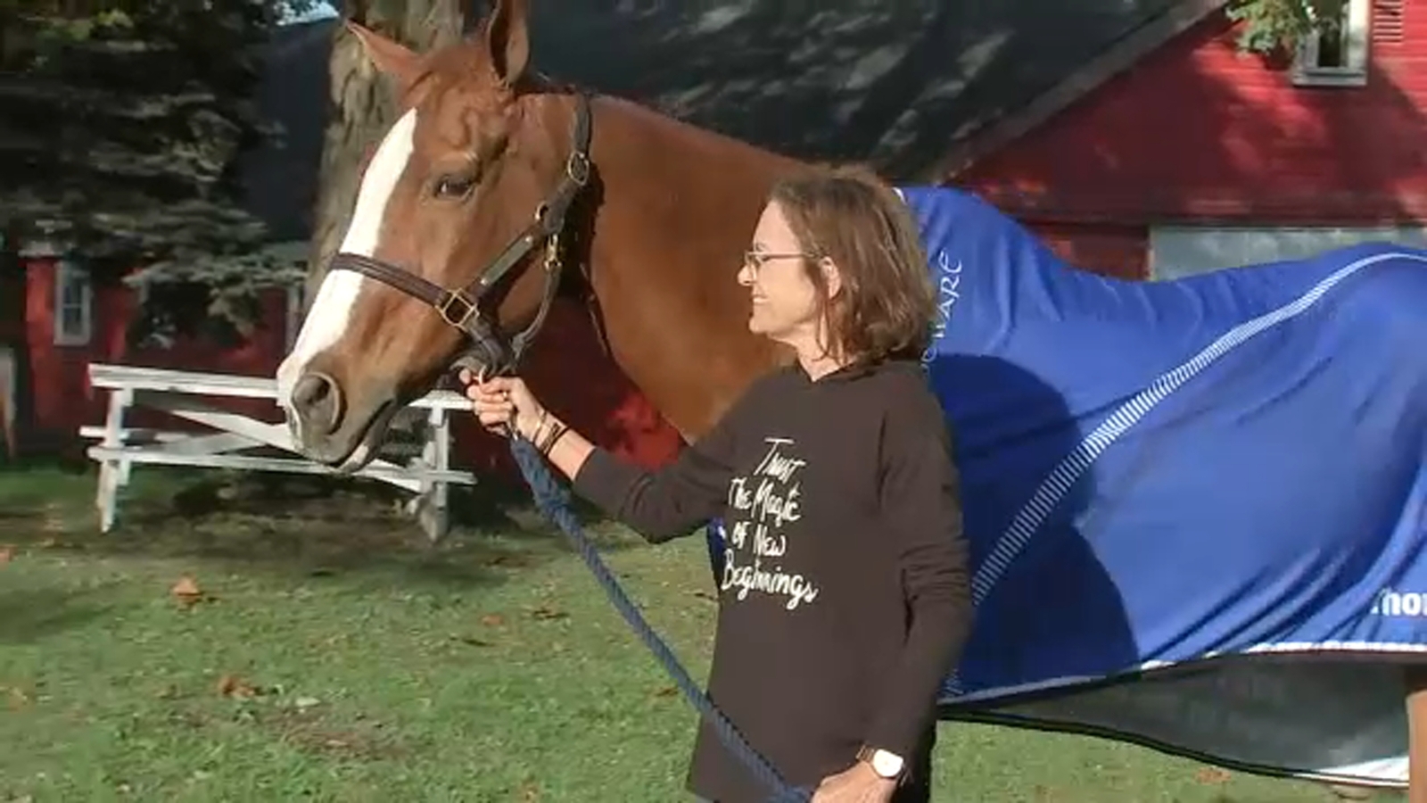 Palos Hills therapy horse 'Fahey' honored as New Beginnings ...