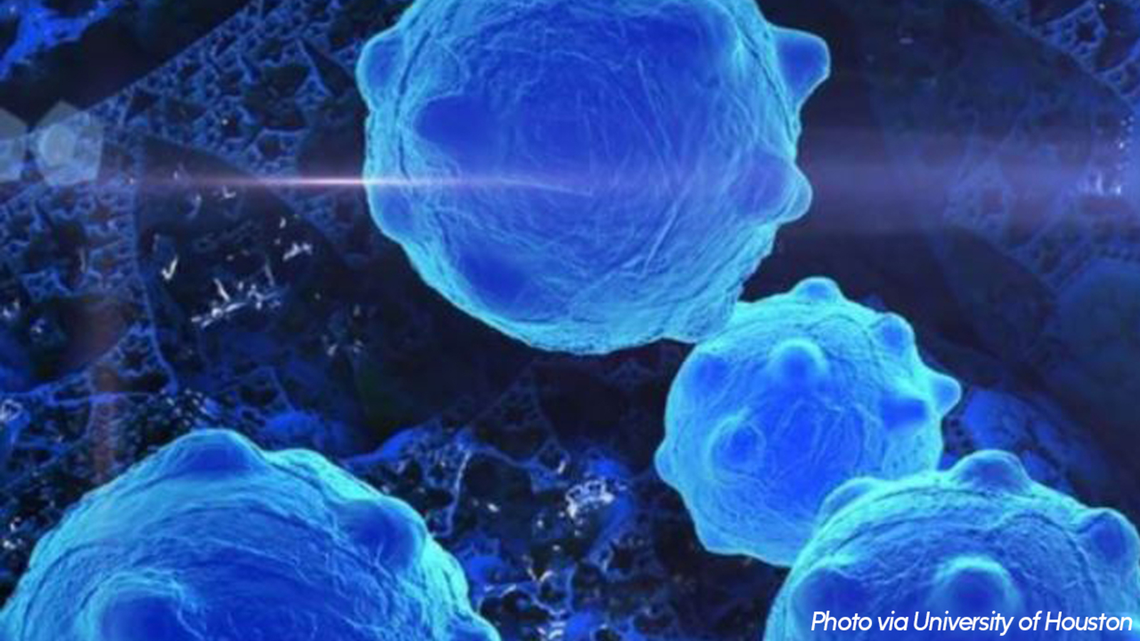 University of Houston new research may detect cancer cells faster and ...