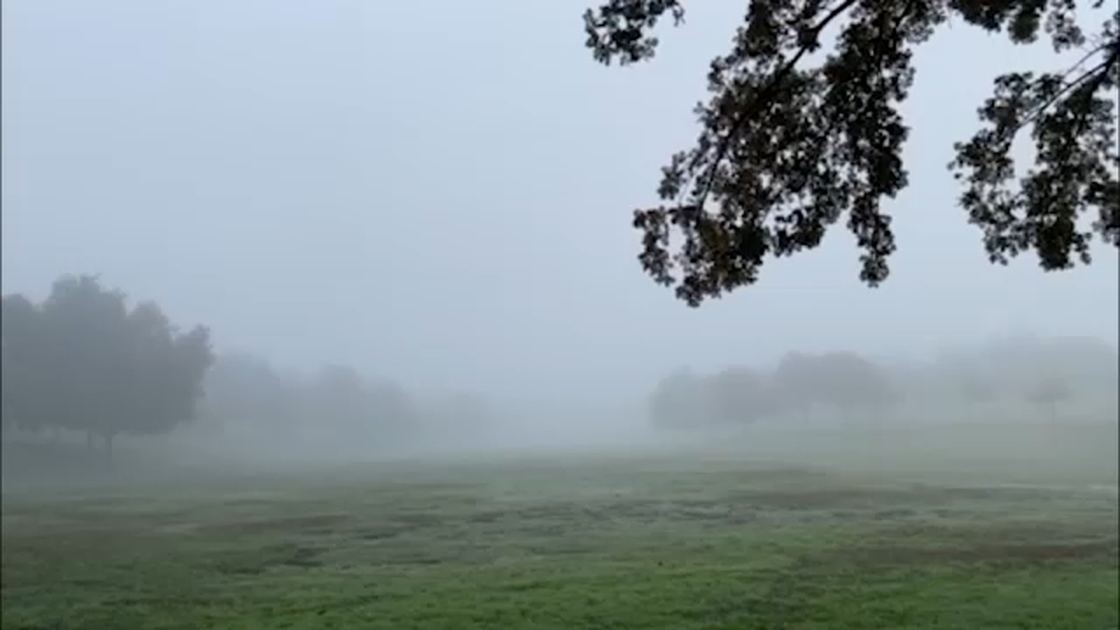 South Valley school districts impacted by thick fog - ABC30 Fresno