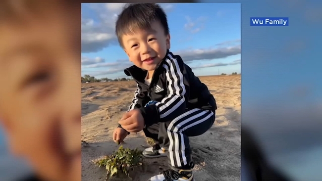Jasper Wu: Heartbroken mother of California toddler killed by stray ...