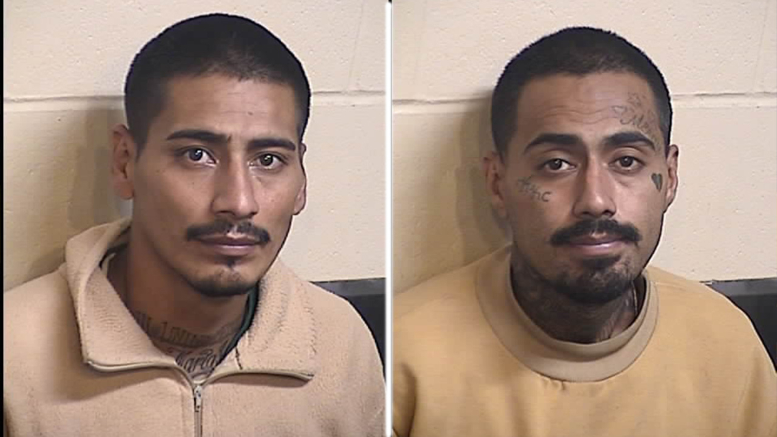 Reedley brothers arrested in connection to murder of Fresno County ...