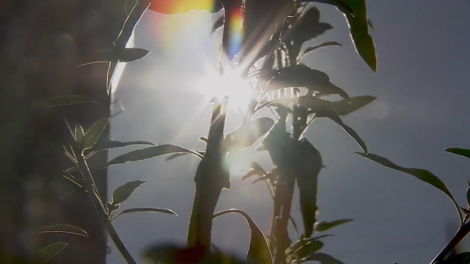 Life Do Grow farm grows community connection with food, education ...