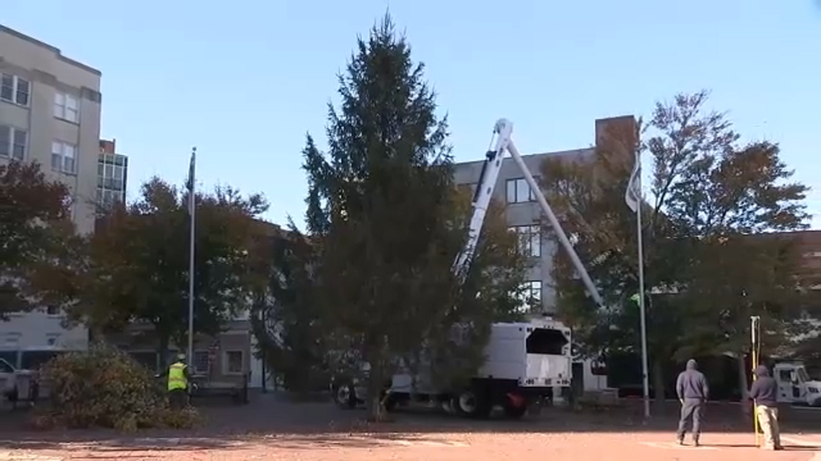 45-foot Christmas tree goes up in downtown Durham - ABC11 Raleigh-Durham