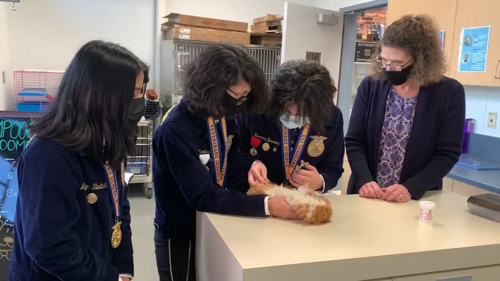 Madera Unified student vet science team wins national championship ...