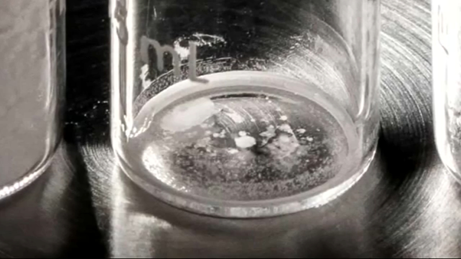 Valley officials warning about deadly 'elephant tranquilizer' drug ...