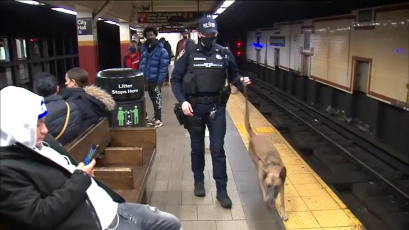 NYPD K-9 places third in Detection Dog Challenge in Raleigh, North ...