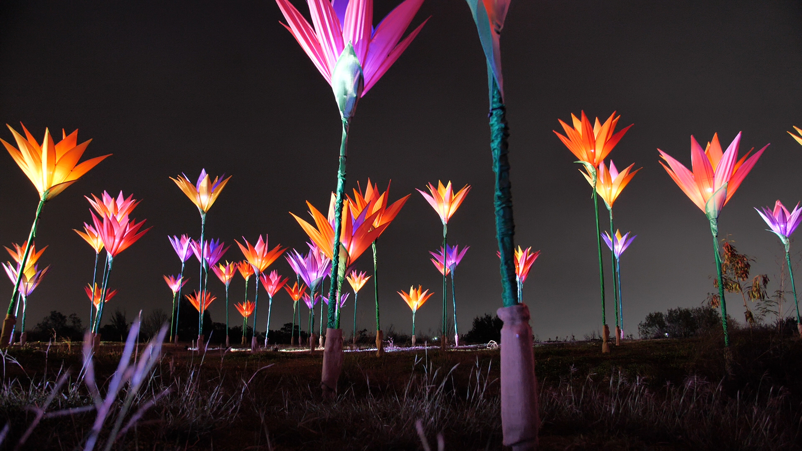 Celebrate the holidays at Houston Botanic Garden's "Lightscape" - ABC7 ...