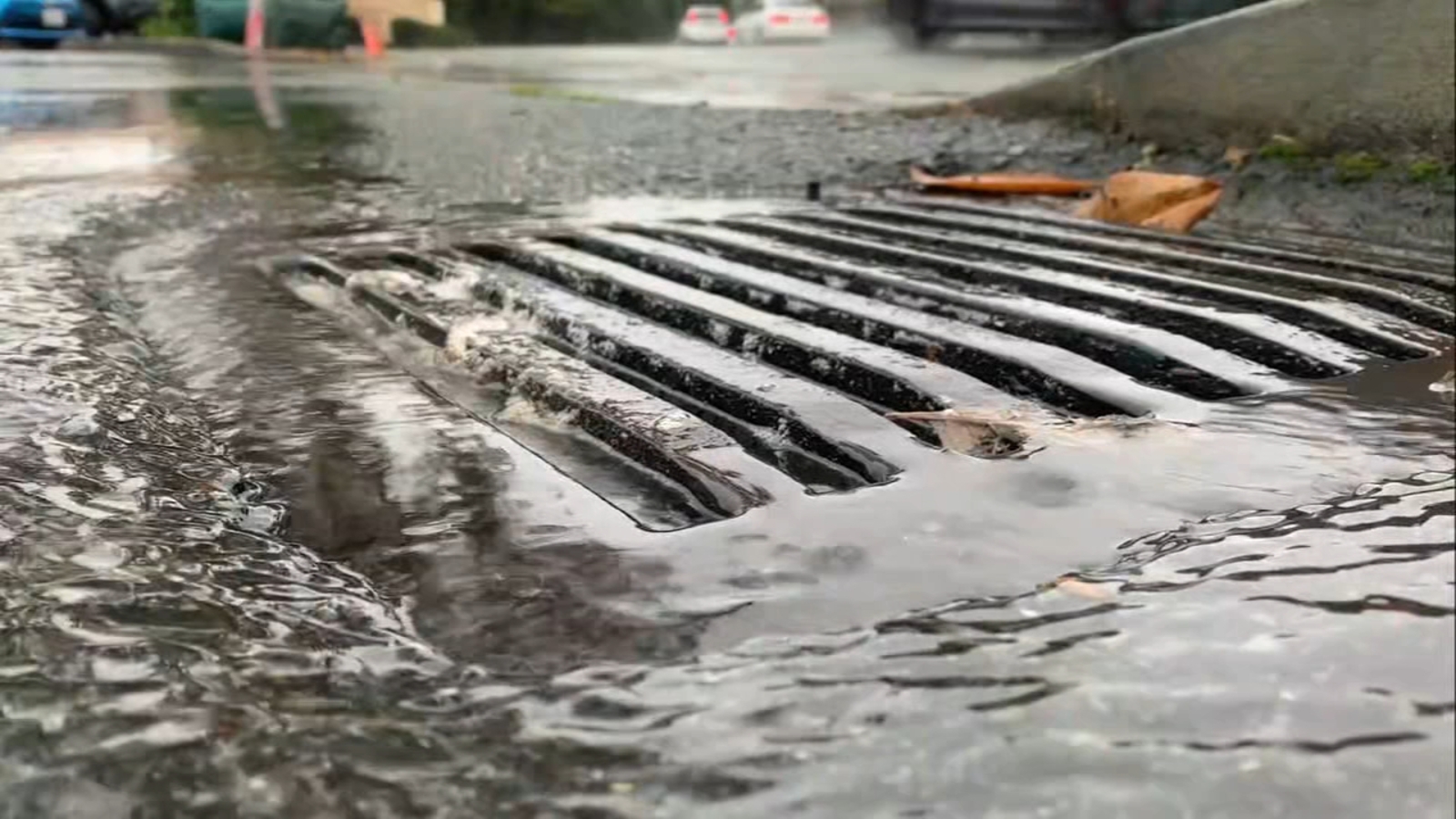 Wet and windy: New storm blows into Bay Area, North Bay residents brace ...