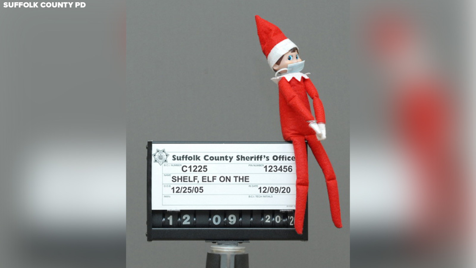 Elf on the Shelf arrested by Suffolk County Sheriff's Office for ...