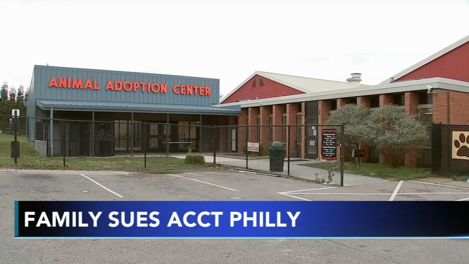 Owners of dog euthanized by ACCT Philly take legal action after ...