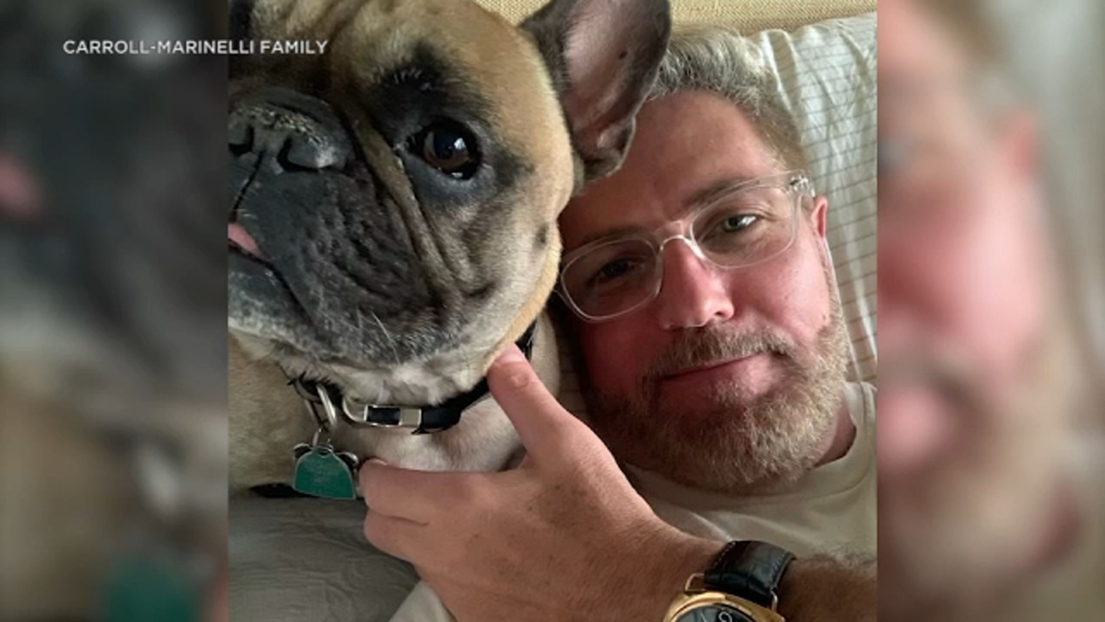 French bulldog stolen during brutal attack on owner near Sunset ...