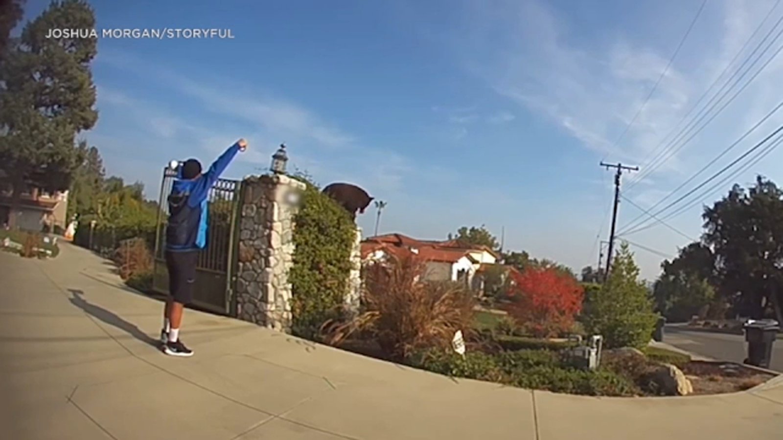 Video: Amazon driver comes face to face with bear while making delivery ...