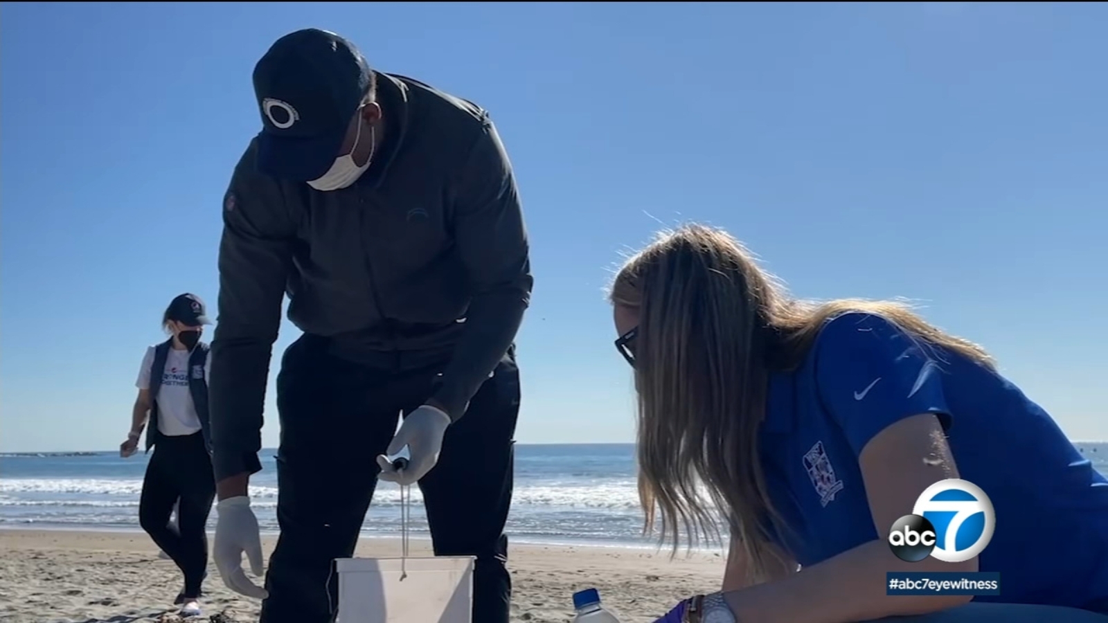 San Pedro gets visit from scientists, divers to remove sea urchins and ...