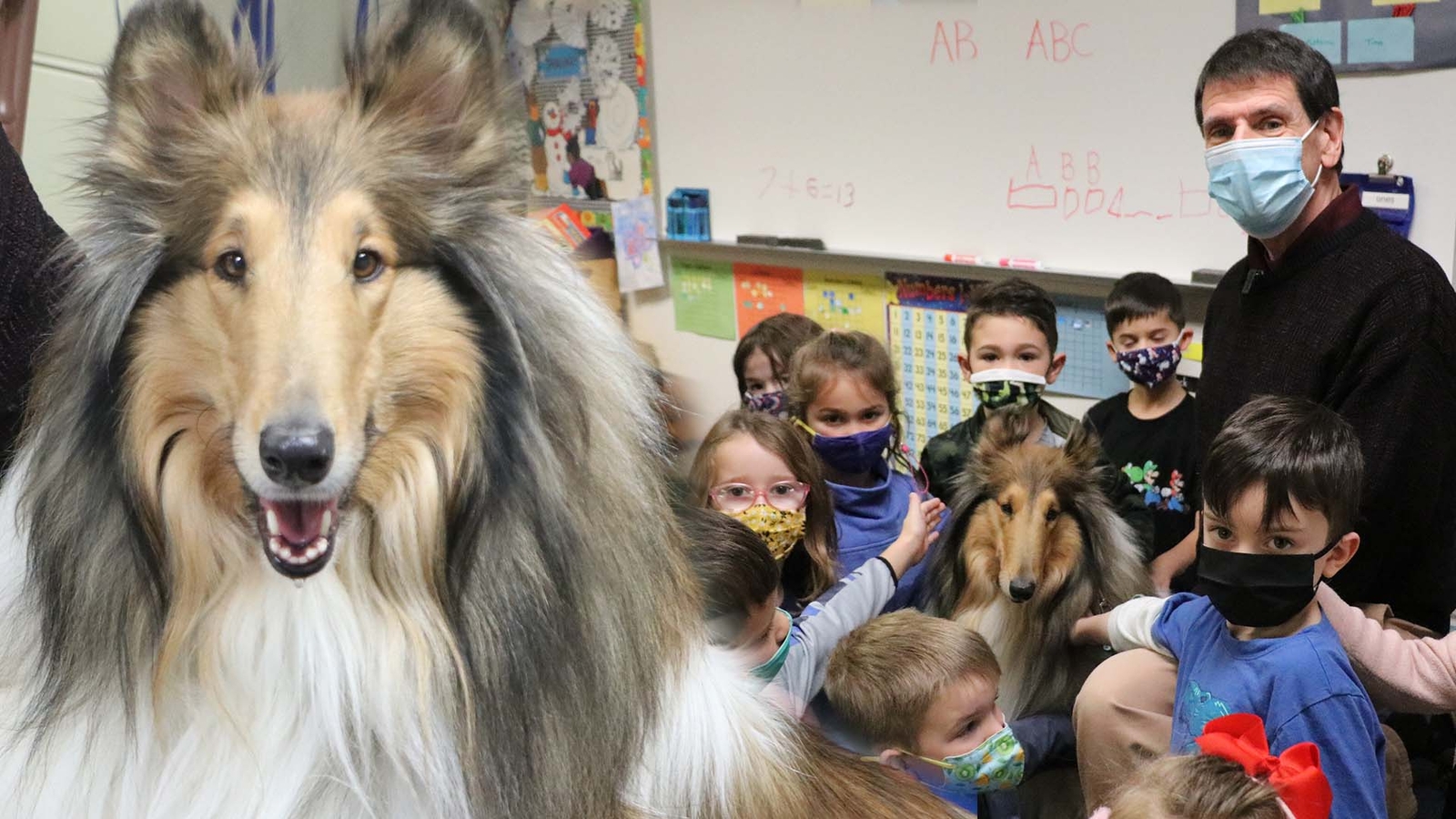 High school teacher, therapy dog travel to bring comfort to all ages ...