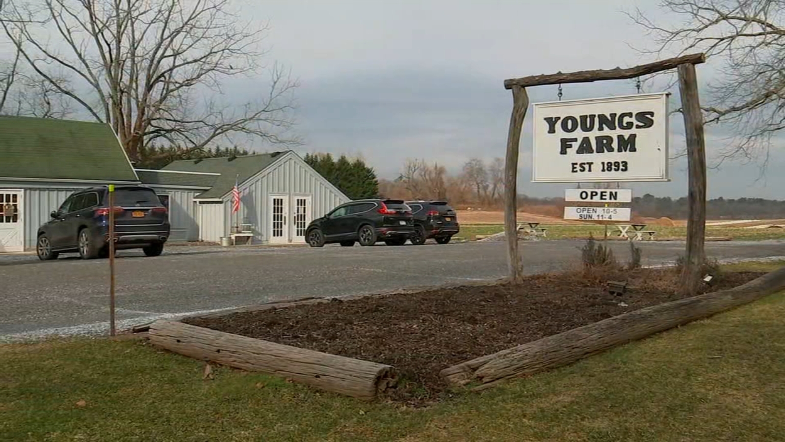 Long Island family farm not only survives coronavirus pandemic, but ...