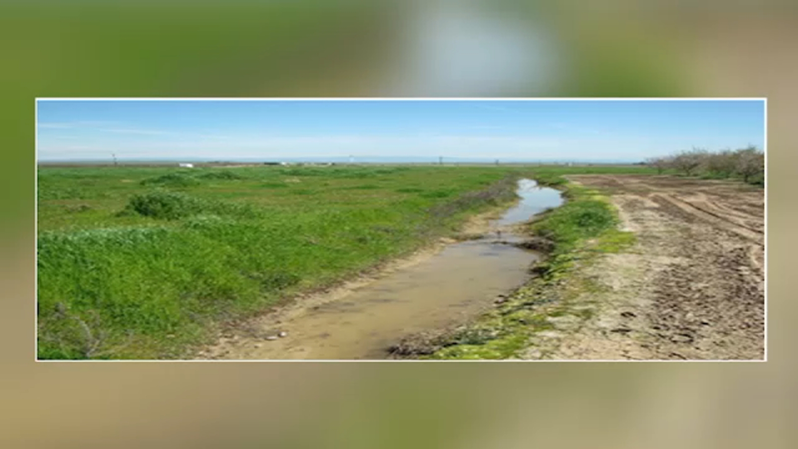 Merced almond grower fined thousands for violating Clean Water Act ...