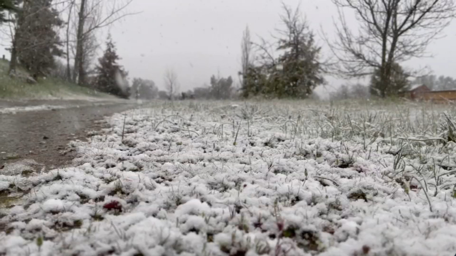 Mountain businesses thrilled to see snow, increased tourism - ABC30 Fresno
