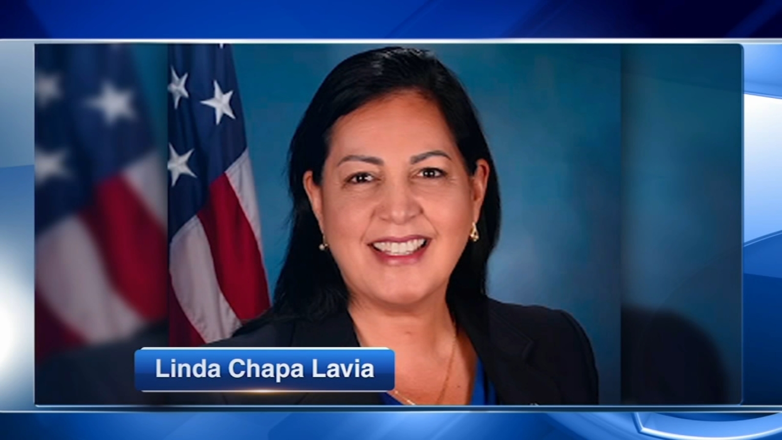 BGA finds former IL Veterans' Affairs chief Linda Chapa LaVia wrote ...