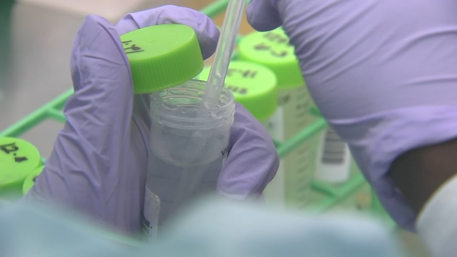 COVID Pandemic: Increasing levels of coronavirus found in municipal ...