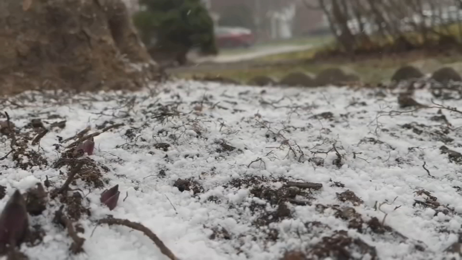 Pennsylvania weather: Delaware Valley spring freeze is a shock to the ...