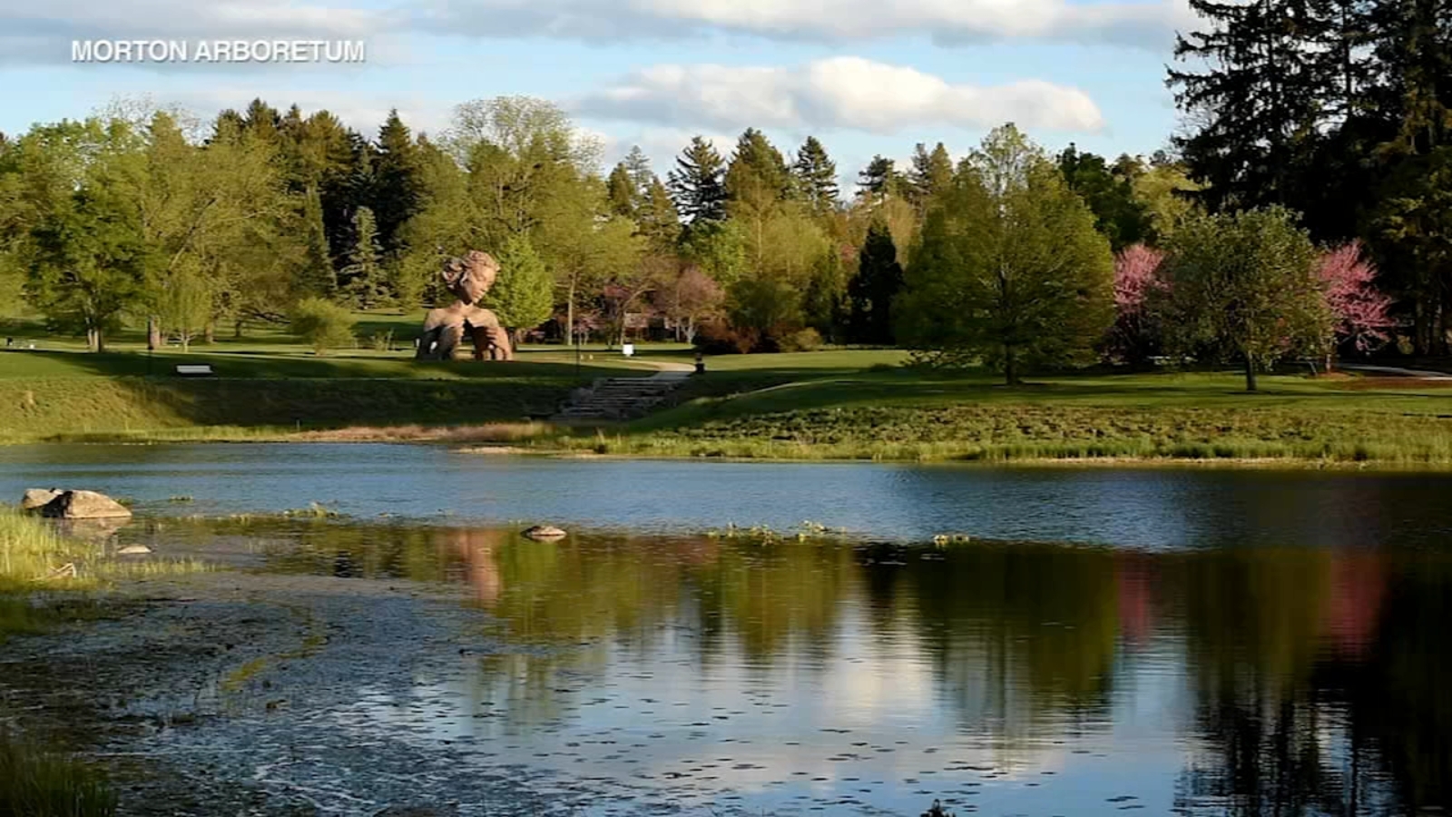 Planning a spring trip The Morton Arboretum - ABC7 Chicago