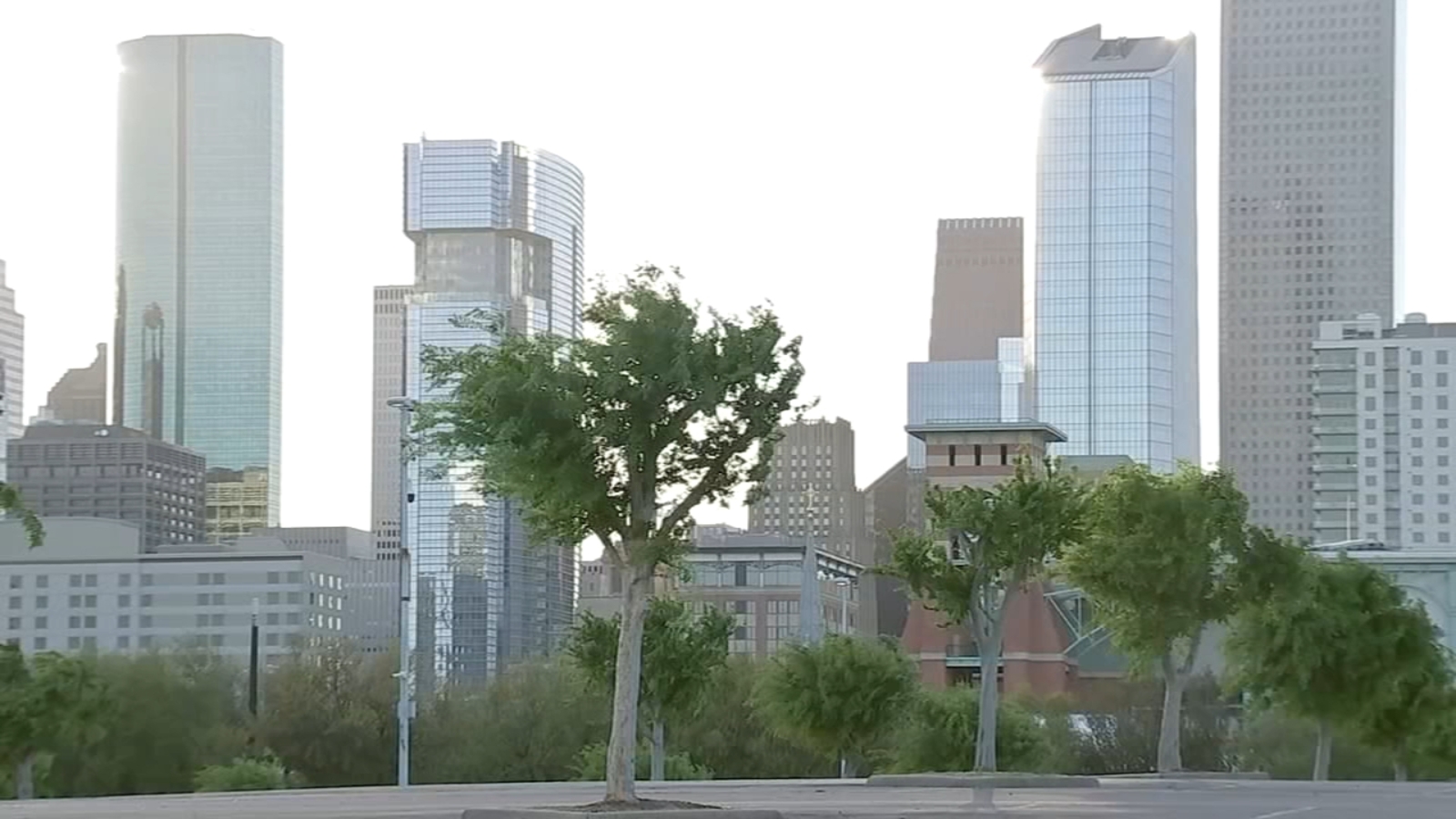 Houstonians feel effect as pollen count hits record highs - ABC13 Houston