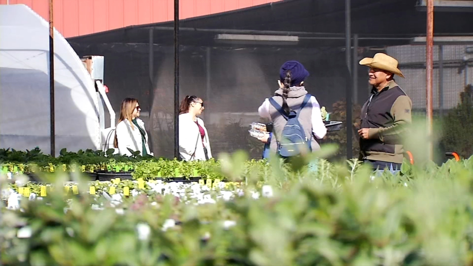 Merced College hosting plant sale this week - ABC30 Fresno
