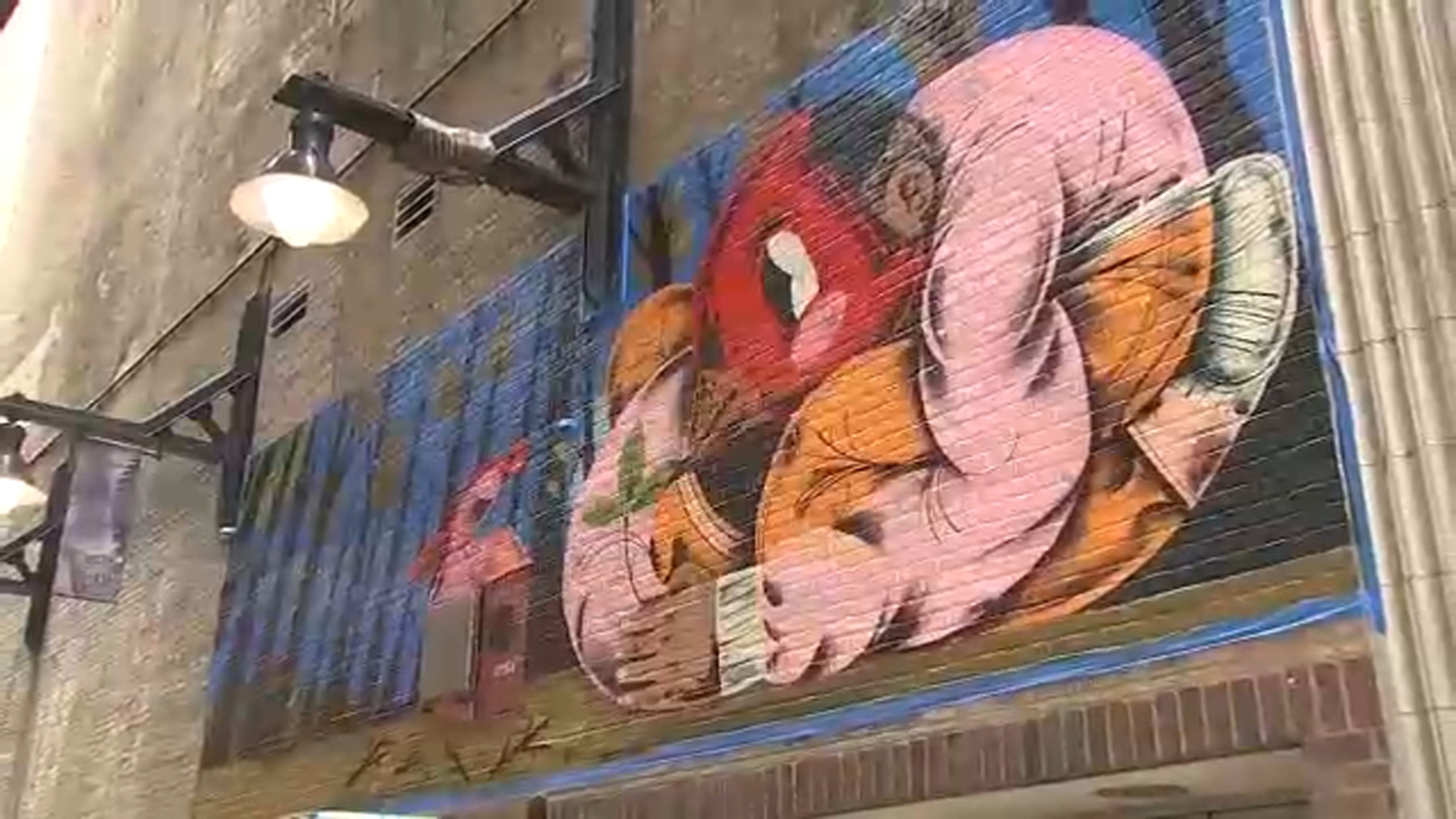 National Geographic partners with ABC7 studio to honor Earth Day with ...