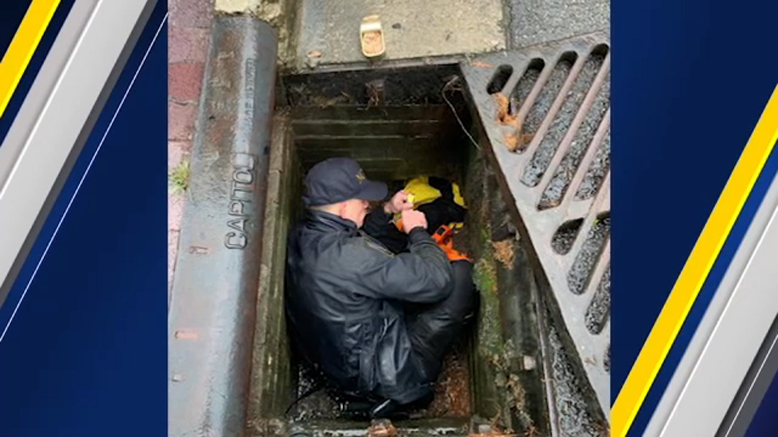 Kittens pulled from storm drain by State Capitol Police after 2-hour ...