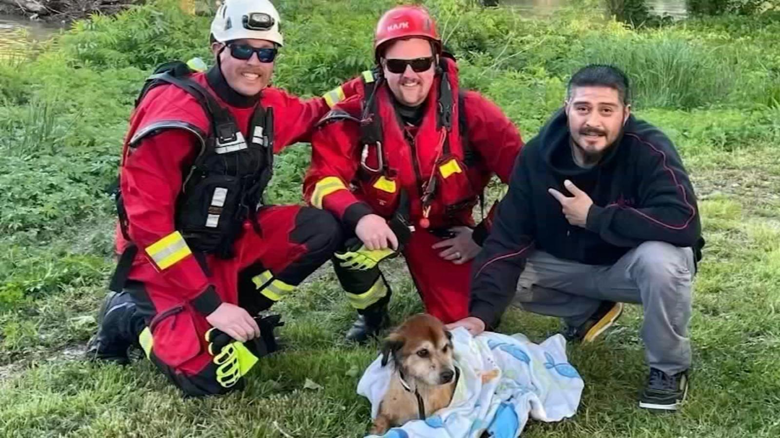 Swift water rescue team reunites 16-year-old dog stuck in Neuse River ...