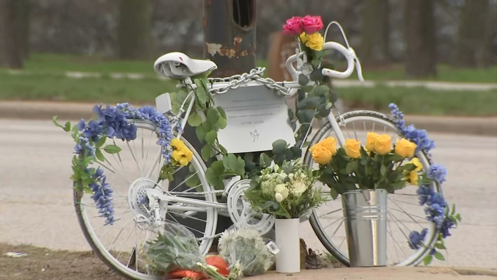 Family of cyclist killed places 'ghost bike' memorial on DuSable Lake ...