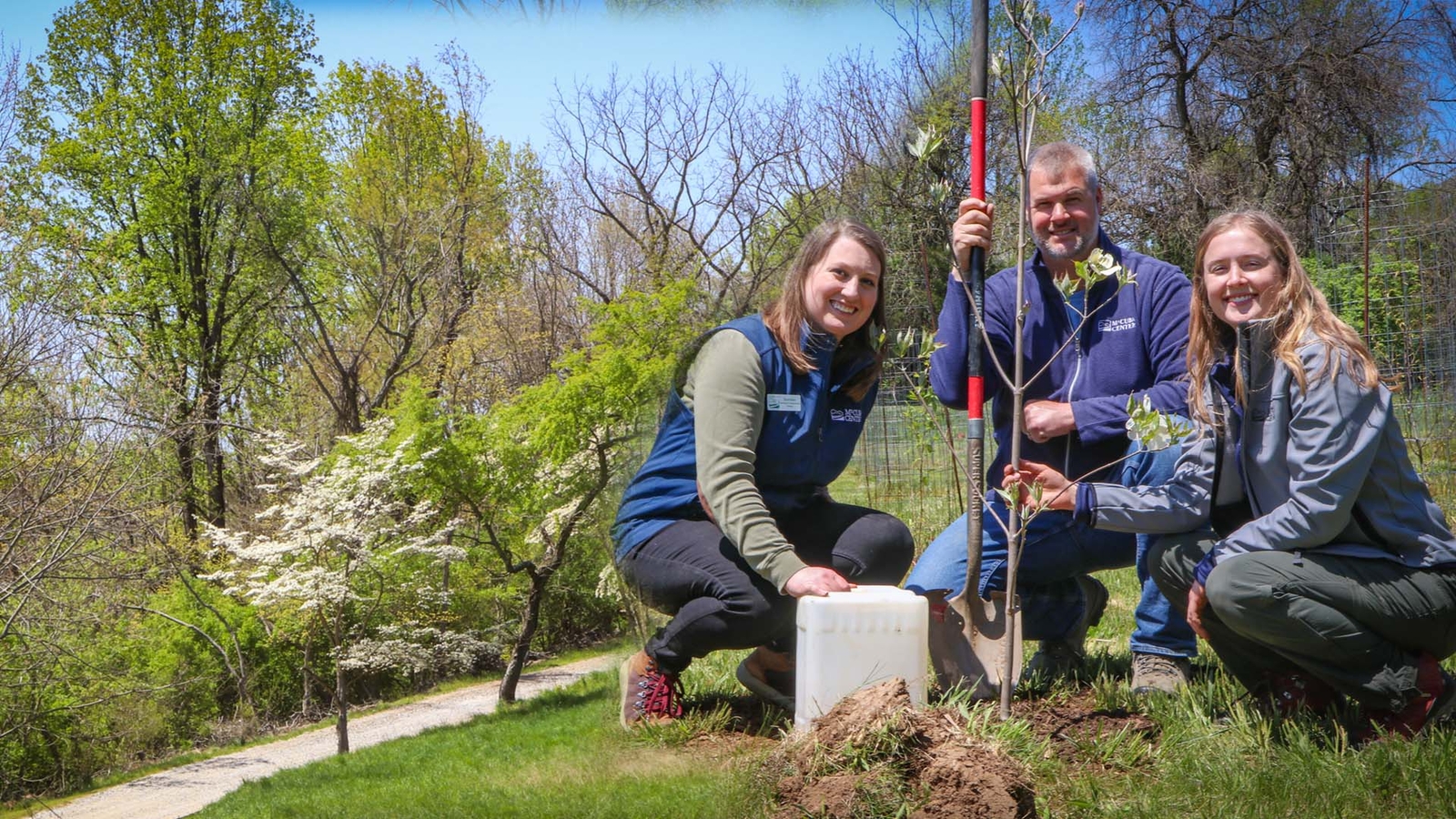 100-year plan to rebuild forests takes root in Delaware - 6abc Philadelphia