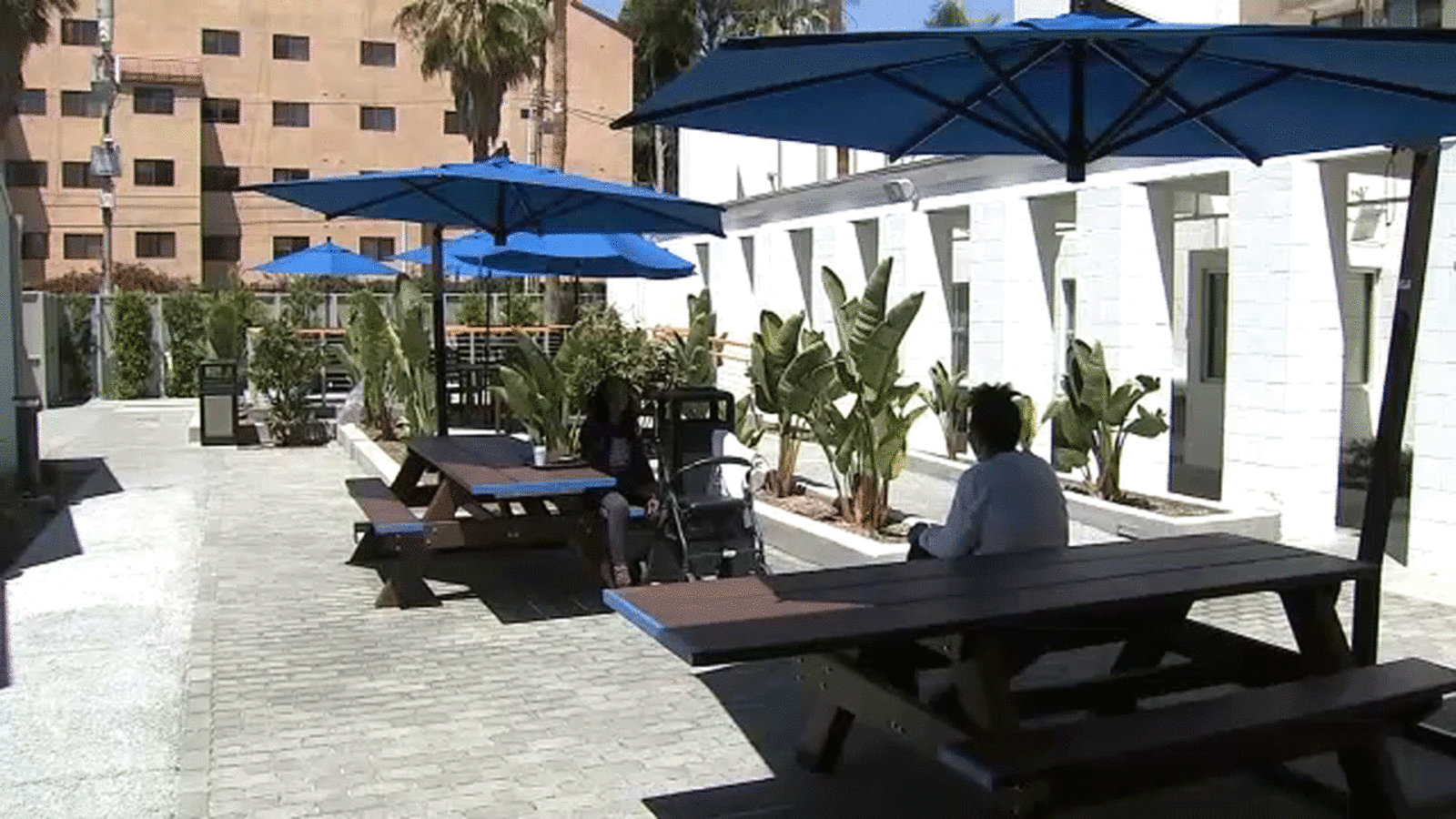 Oasis on Skid Row: Homeless women find their 'ray of sunshine' in ...