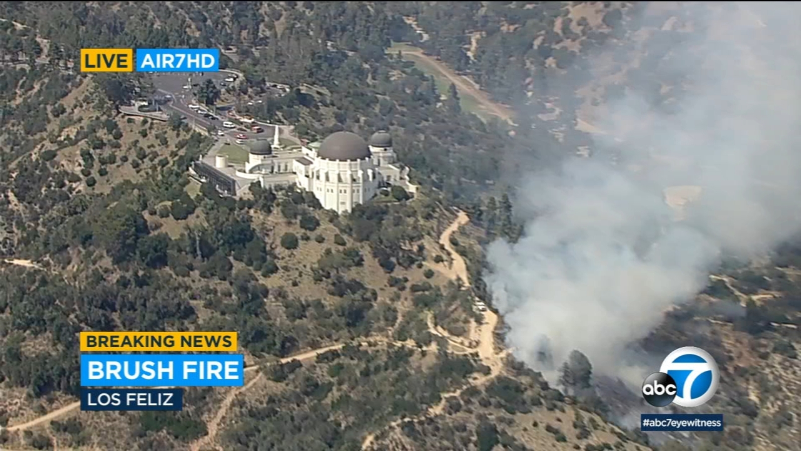 Griffith Observatory brush fire: LAFD stops forward progress of blaze ...
