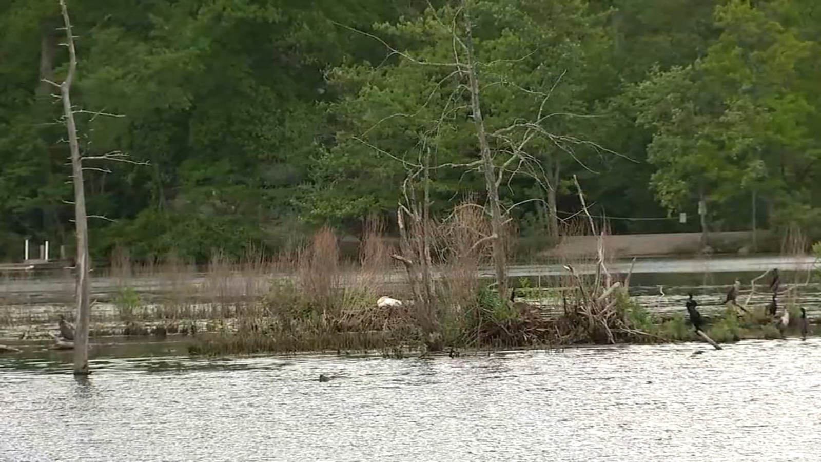 NJ launches 'Kicking Off Summer Lakes Tour' to show Garden State is ...