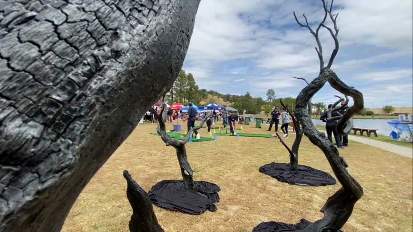 Marin County's new 'Ember Stomp' festival aims to get community prepared for wildfires - ABC7 ...