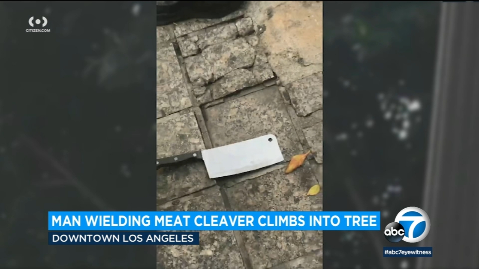 People strolling in DTLA left shocked after man wielding meat cleaver ...
