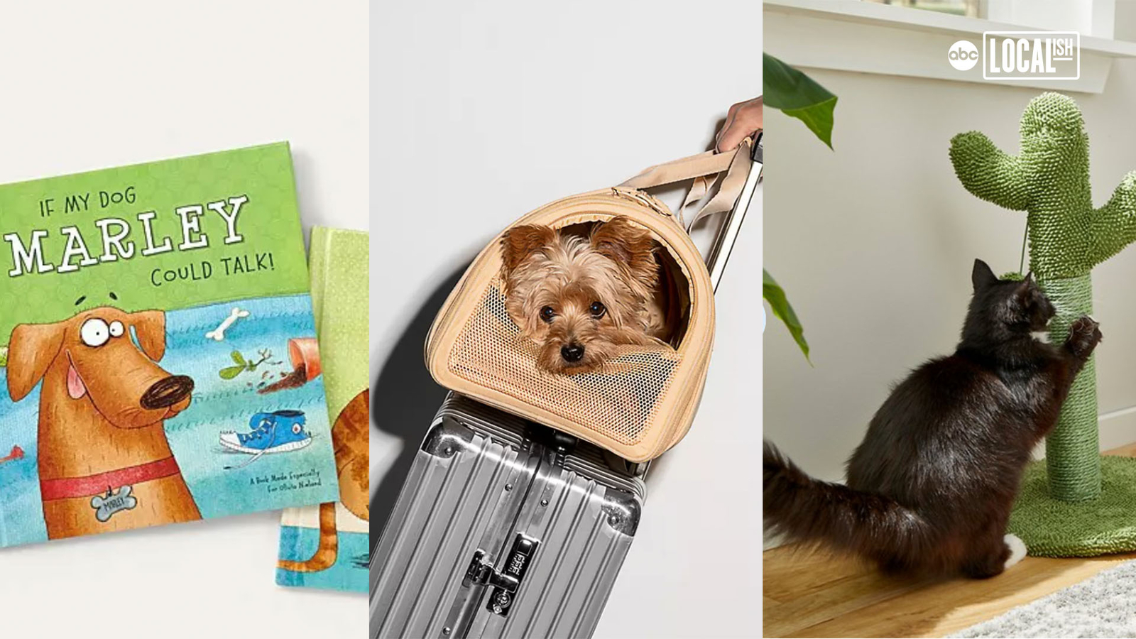 15 Best-Selling Pet Products for Dog and Cat Parents - ABC7 New York