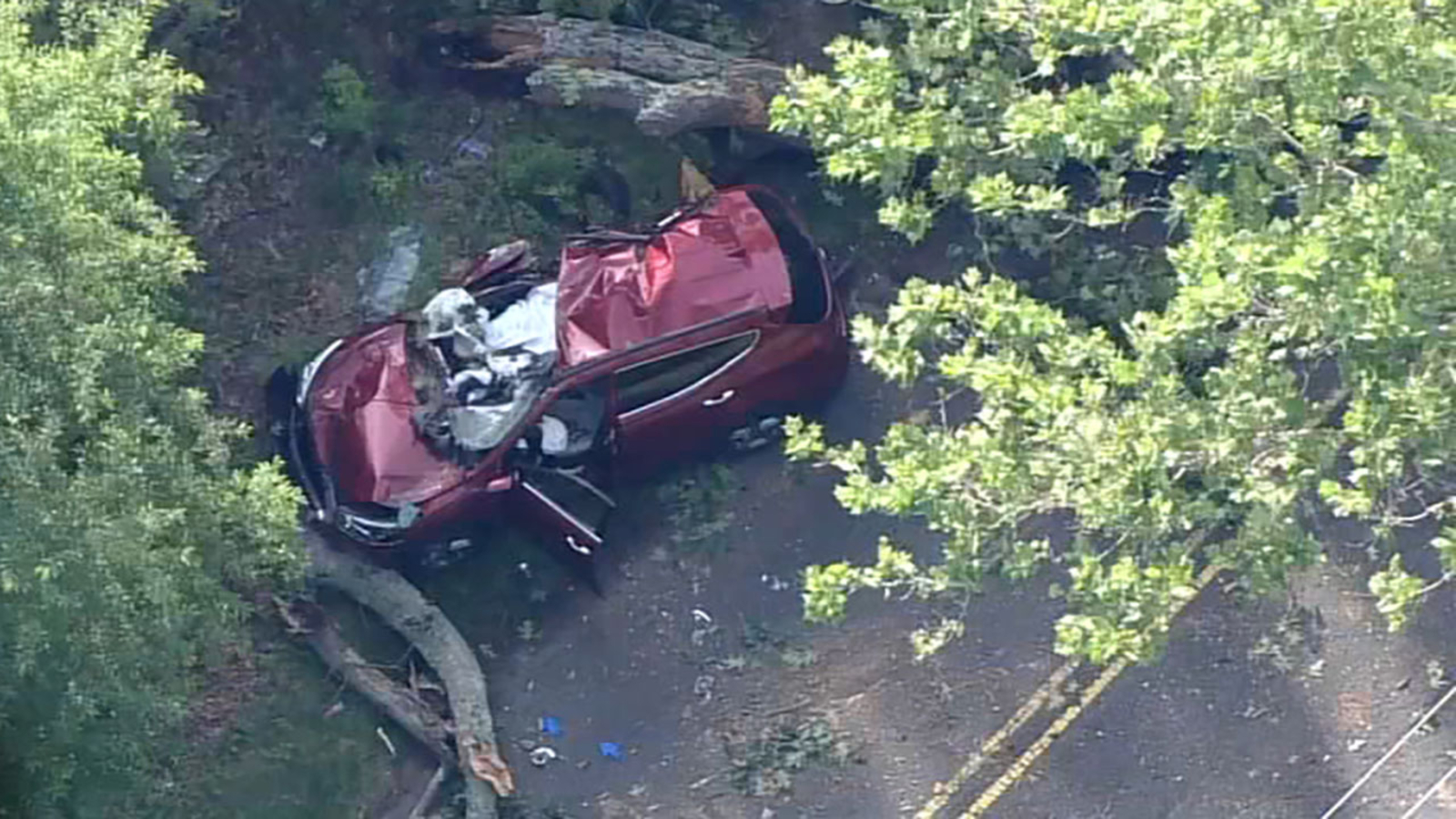 1 dead, 1 injured after tree crushes car in Hainesport, South Jersey ...