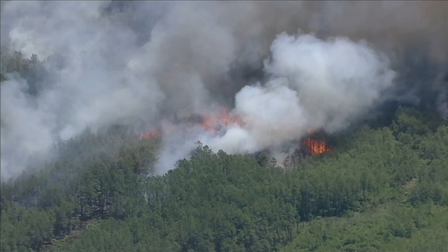 Mullica River Fire: Wildfire in Wharton State Forest reaches 13,500 ...