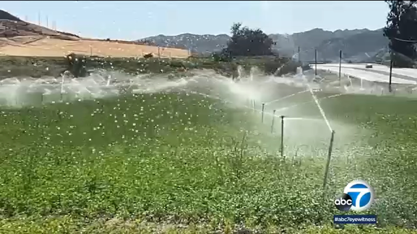 California water: New technology helps save water and environment ...