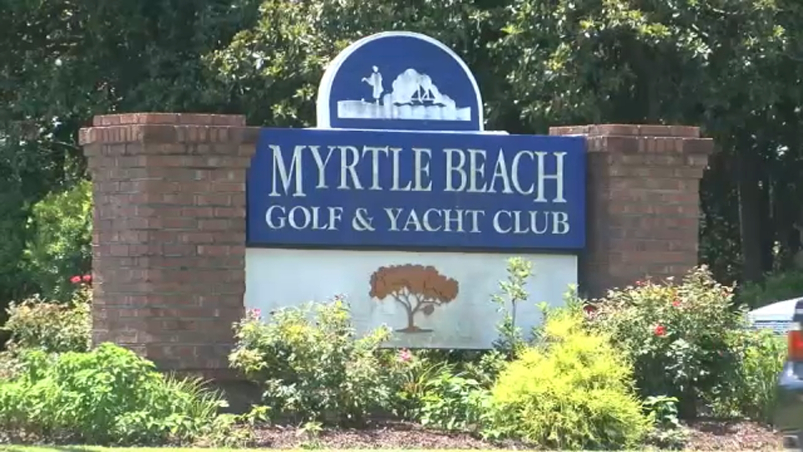 Horry County Police Department: Alligator kills person near Myrtle ...