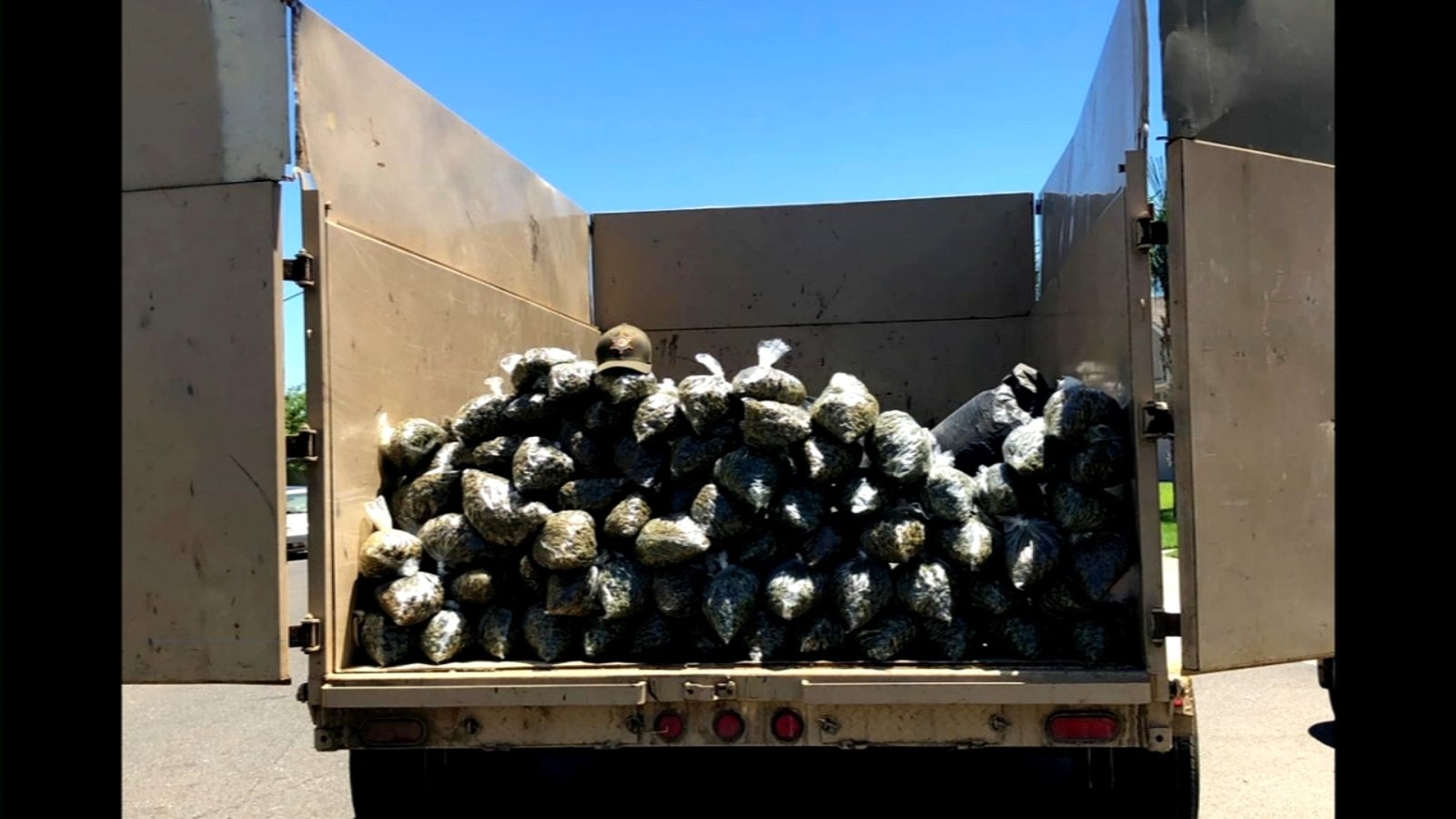 Illegal Marijuana Grow Merced County Deputies Seize 600 Lbs Of Drugs