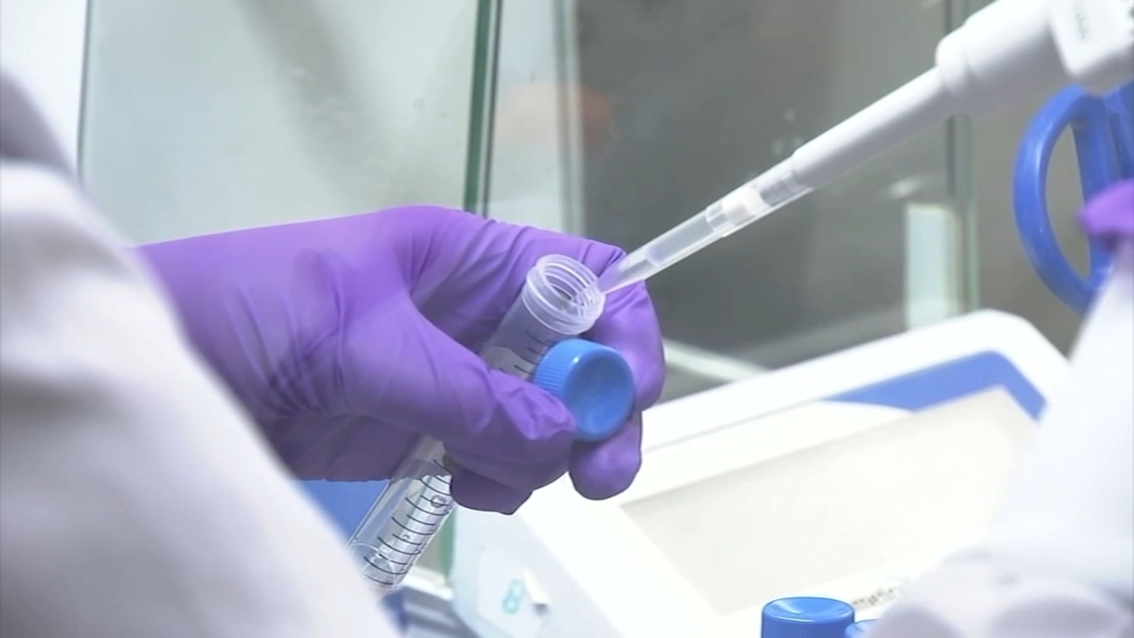 San Francisco monkeypox cases have 'doubled' since last week as testing ...