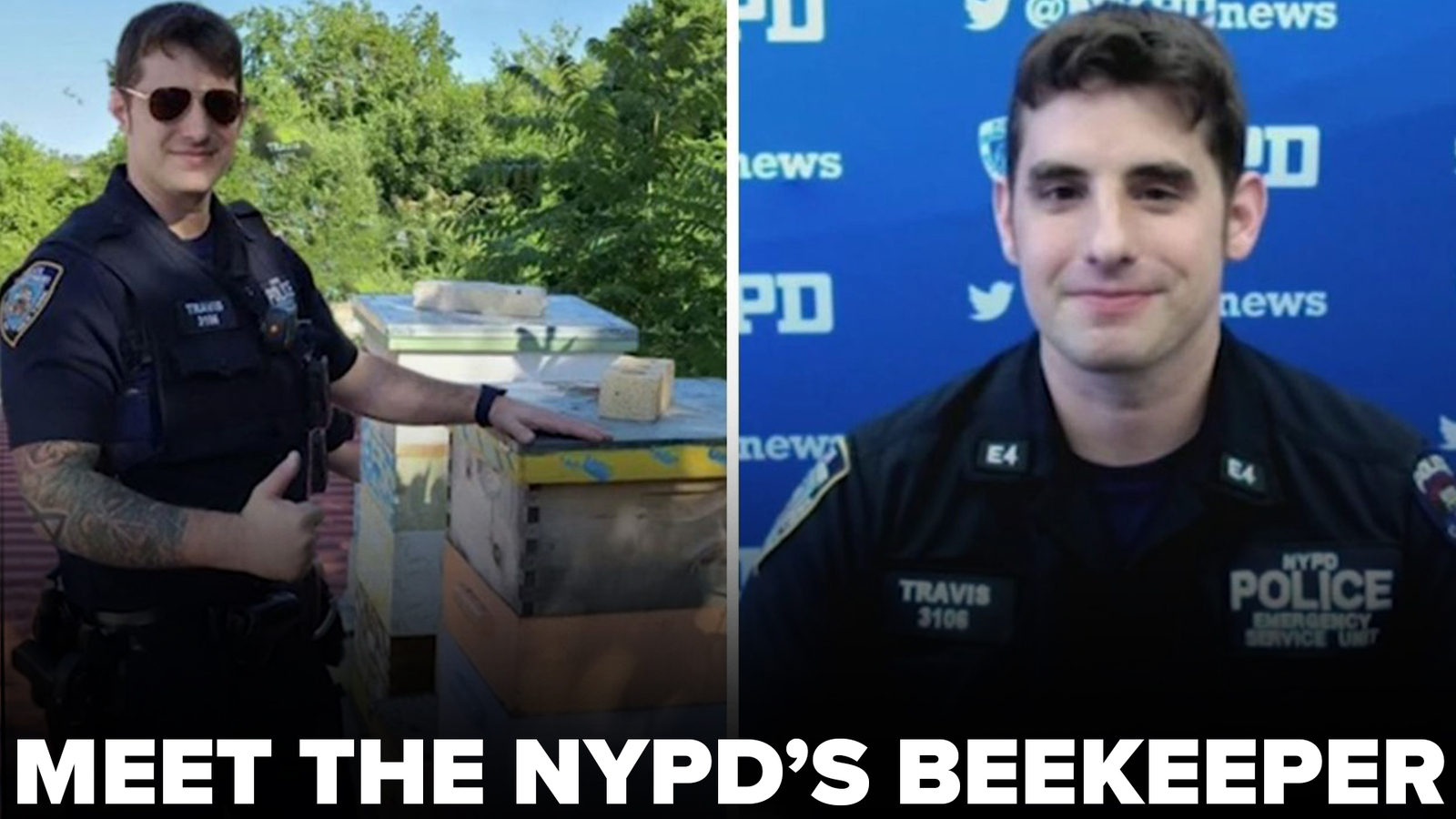 Weather or Not: Meet the NYPD's beekeeper - ABC7 New York