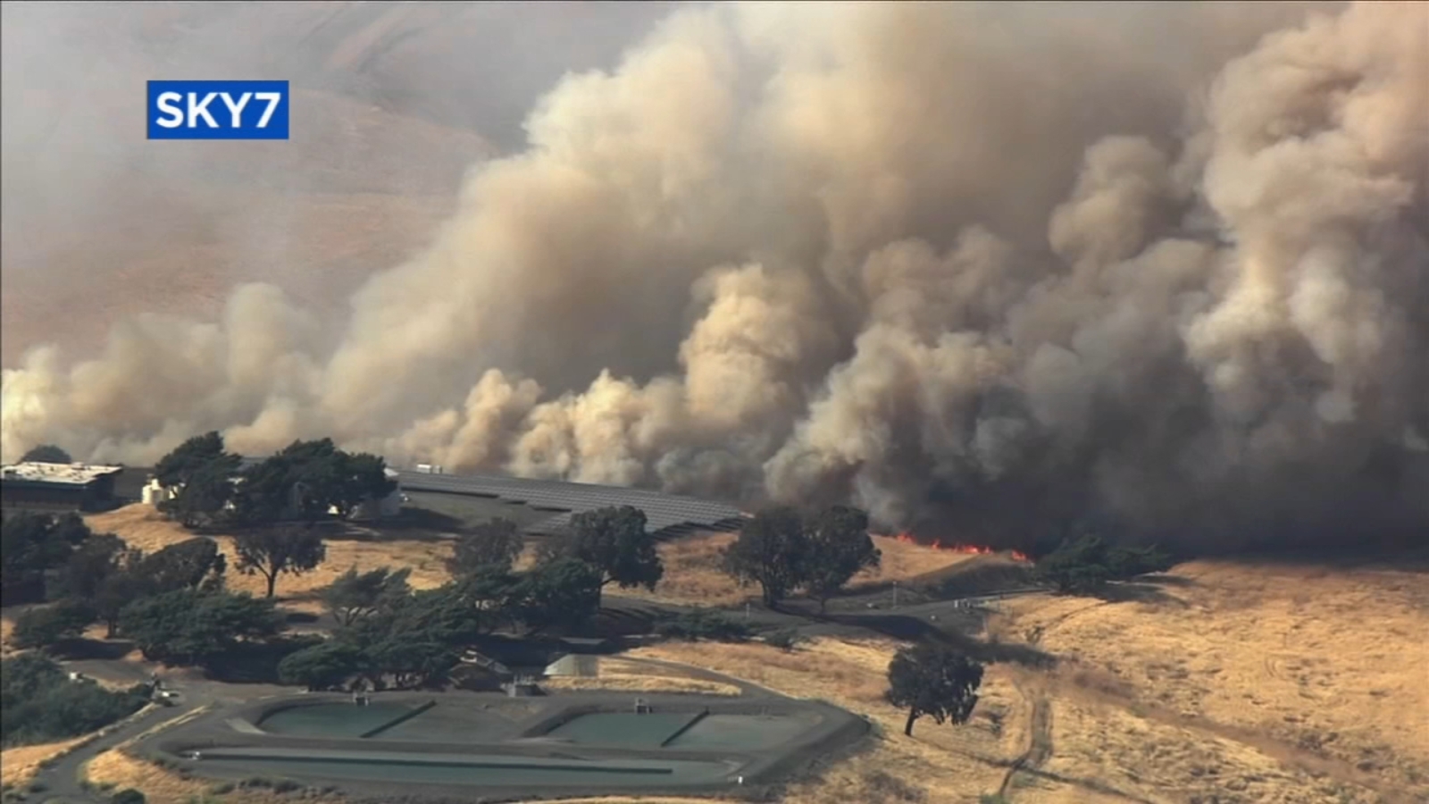 Forward progress stopped in 115-acre grass fire Benicia, firefighters ...