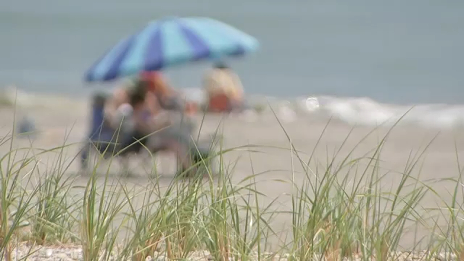 Jersey shore fun: Duke of Fluke Fishing Tournament among events at the ...