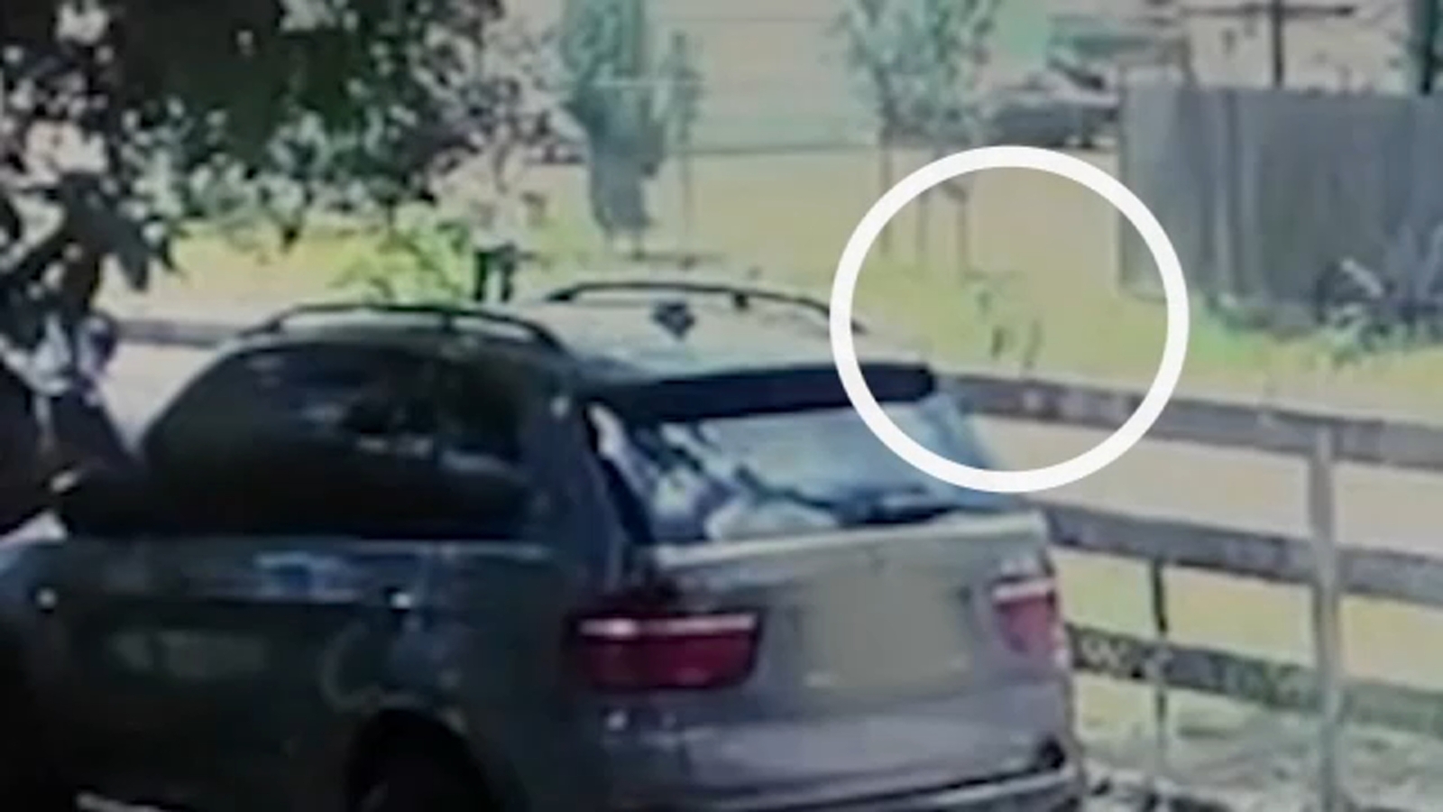 Deadly dog attack: Pack of 7 pit bulls killed 71-year-old man in Fort ...